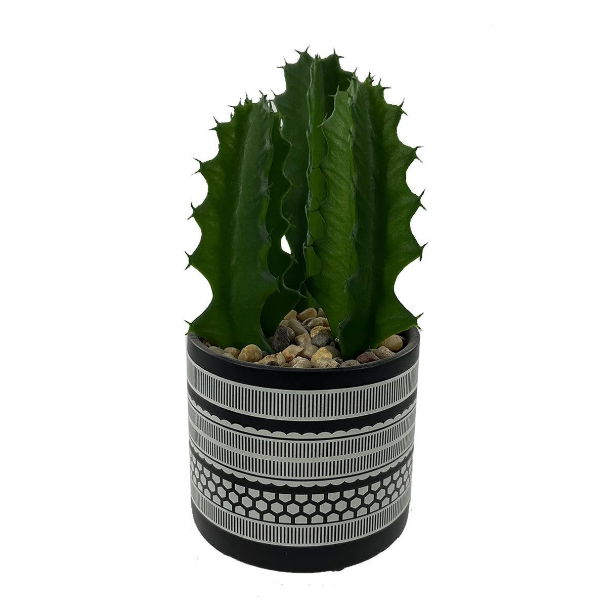 Euphorbia Candelabrum Artificial Plant | Zelda Shop