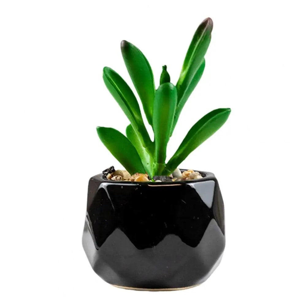 Jade Tree Artificial Plant | Zelda Shop