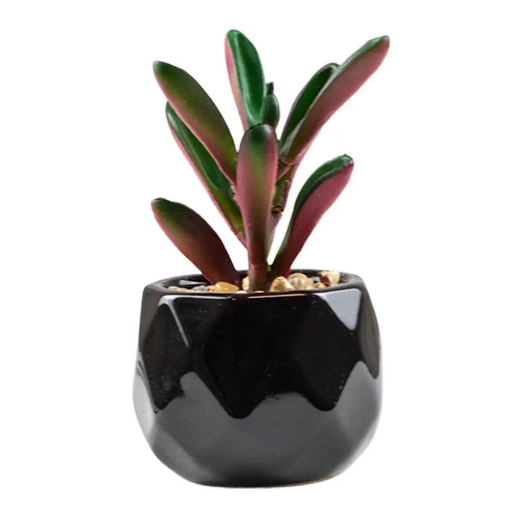 Peperomia Graveolens Artificial Plant | Zelda Shop