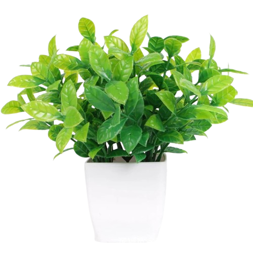 Small Cape Jasmine Artificial Plant | Zelda Shop