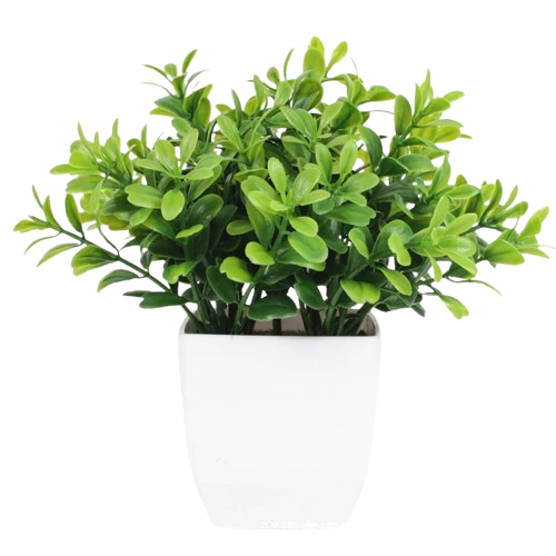 Small Common Boxwood Artificial Plant | Zelda Shop