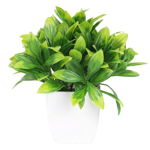 Small Echinodorus Artificial Plant | Zelda Shop