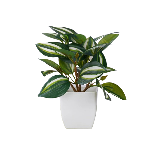 Tradescantia Fluminensis Artificial Plant | Zelda Shop